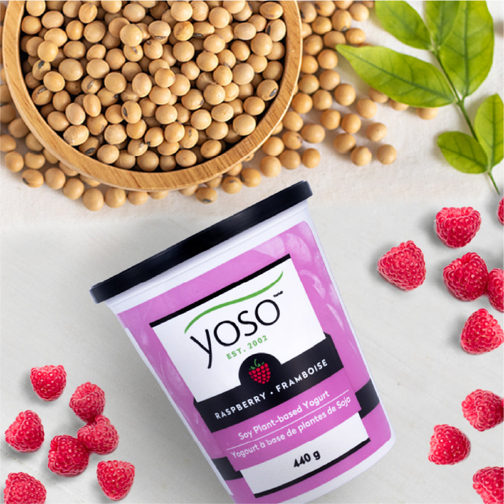 Our Story | The YOSO Evolution