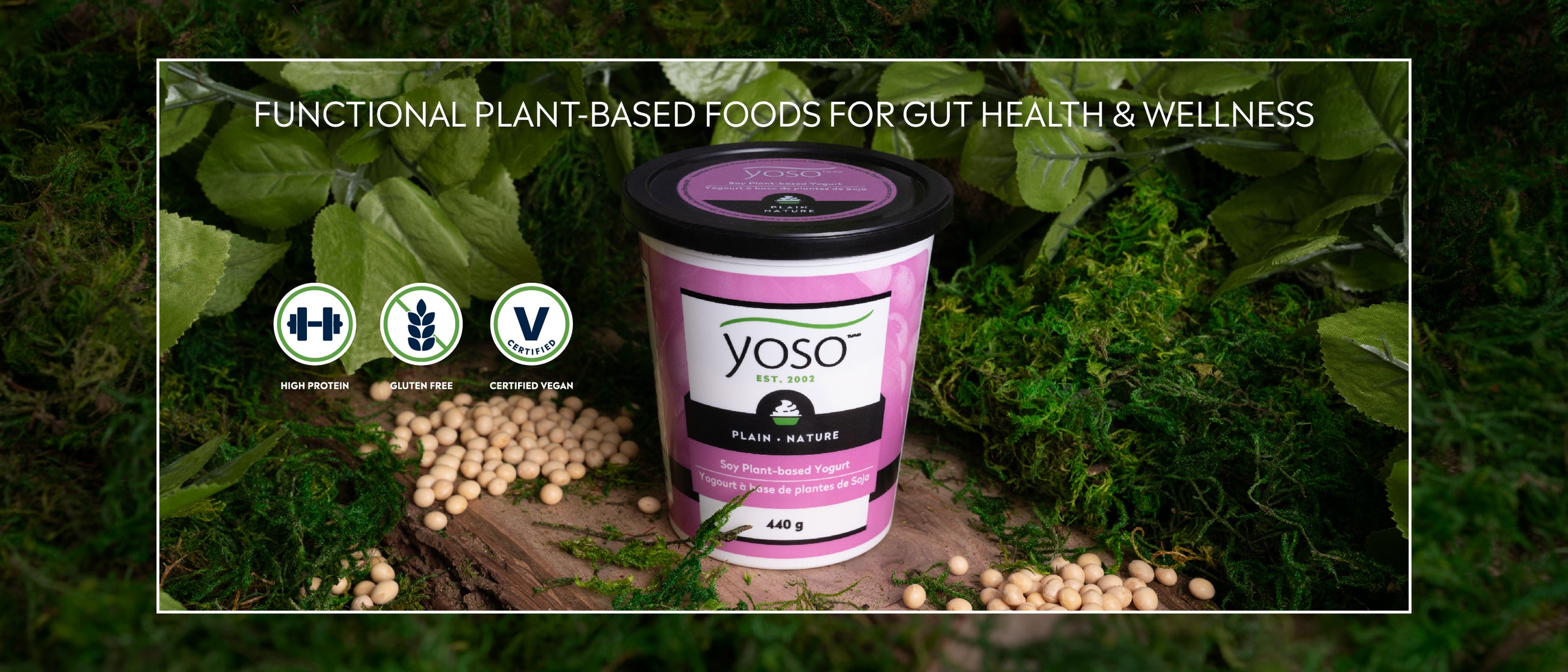 Plant-Based Yogurts for Gut Health & Probiotic Benefits
