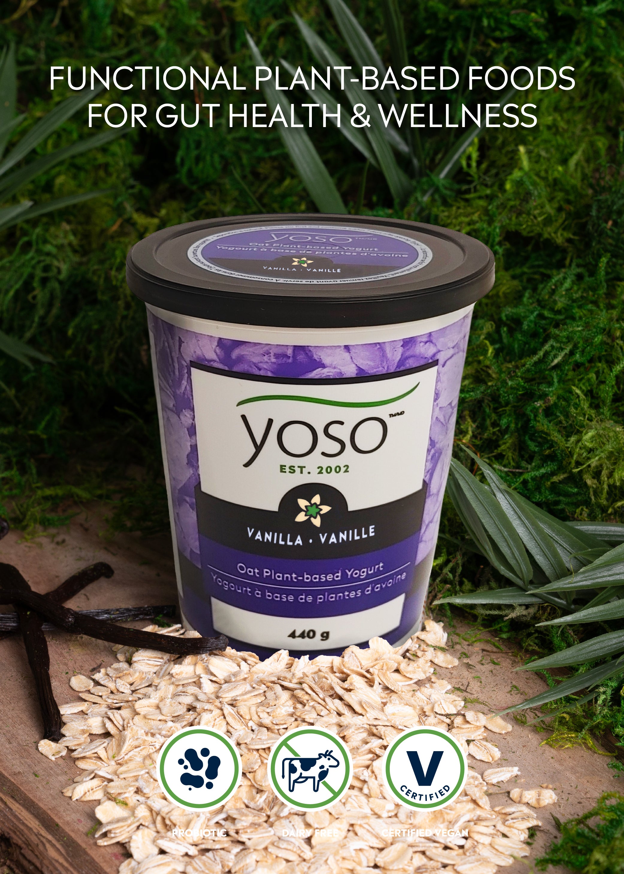 Plant-Based Yogurts for Gut Health & Probiotic Benefits