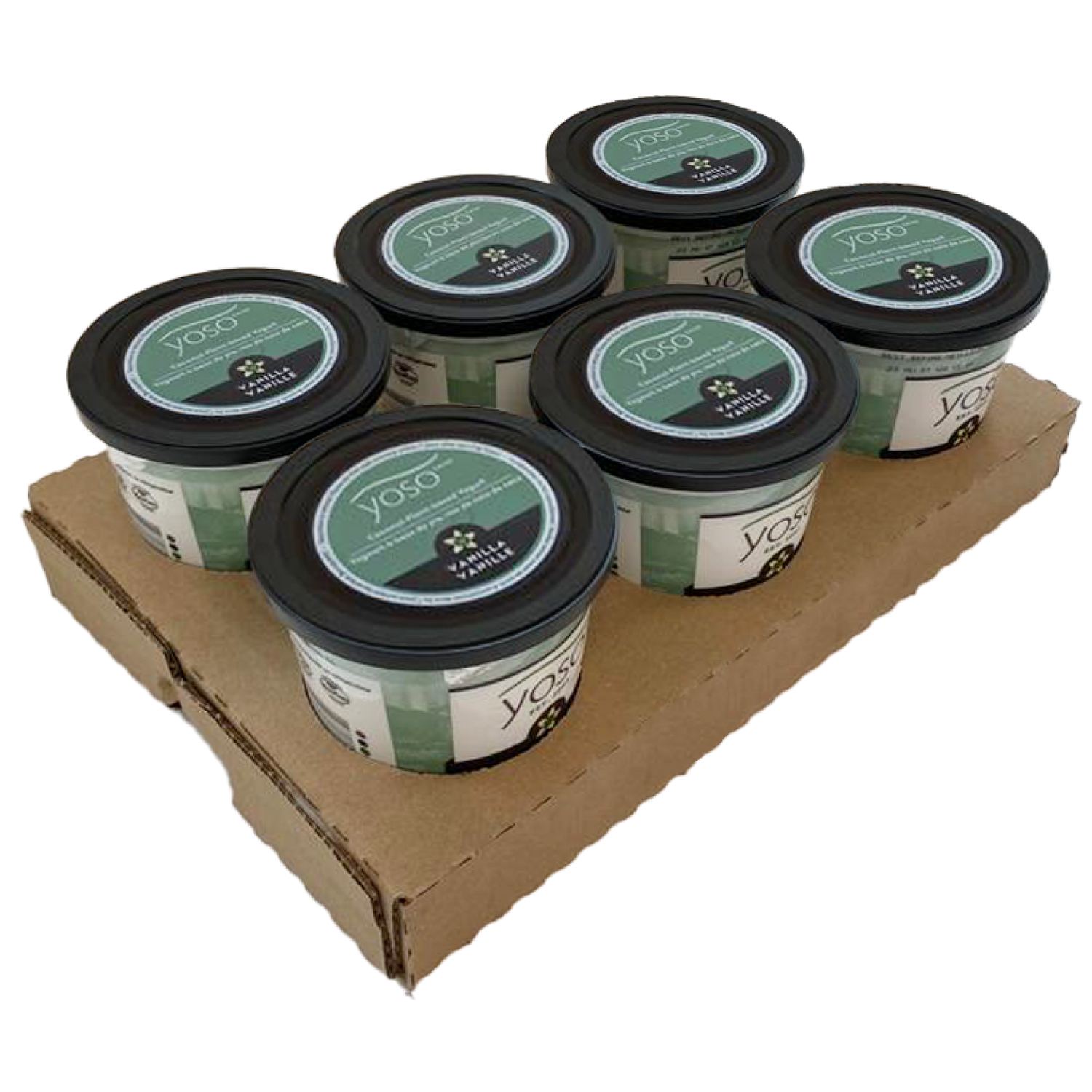 Vanilla Coconut Yogurt Case | Coconut Plant-Based Yogurt